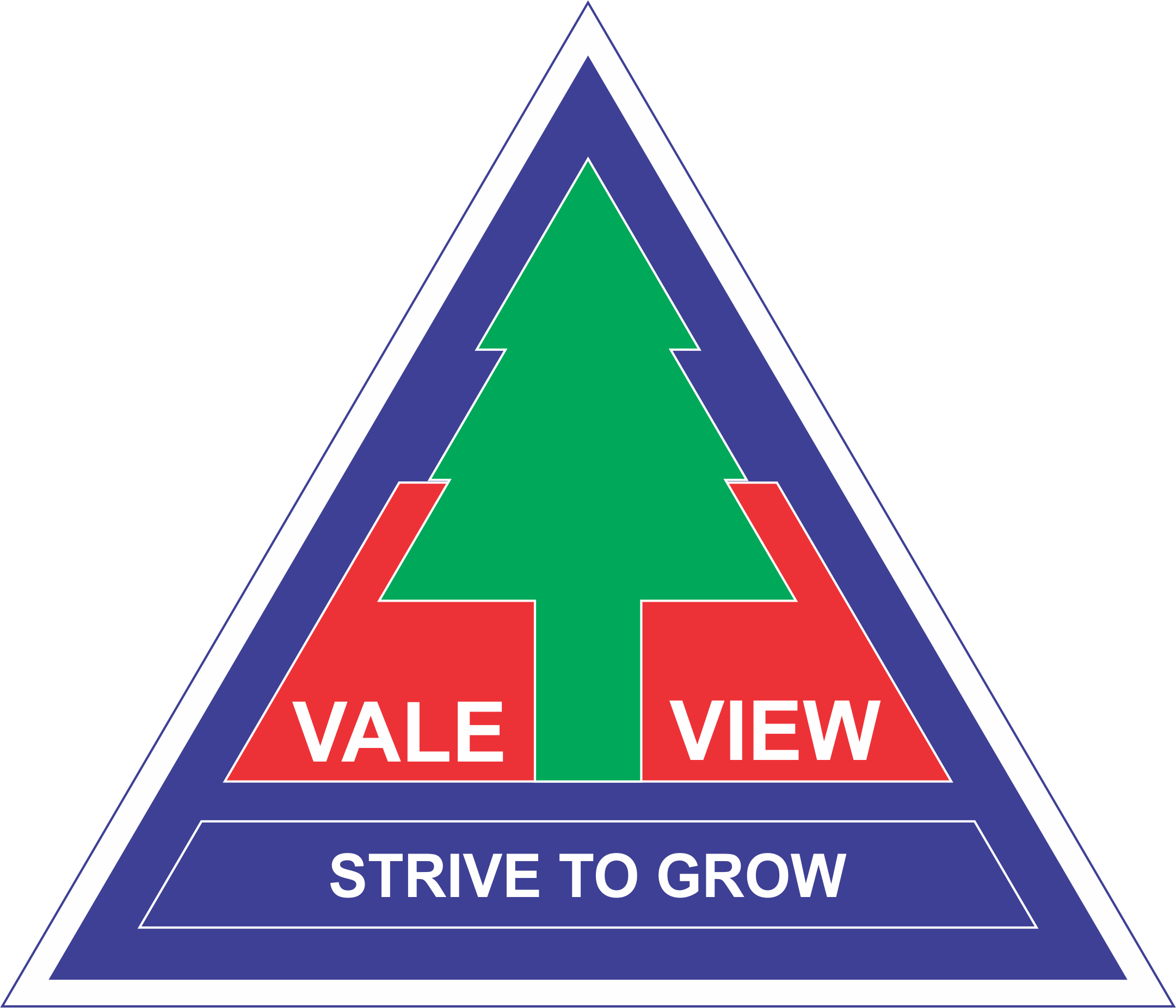 Vale View State School